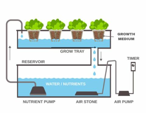 The Ultimate Guide to Hydroponic Vertical Gardens for Your Home